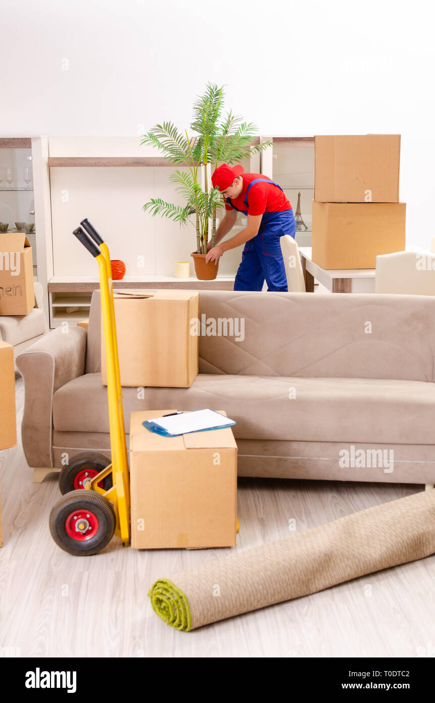 Young contractor with boxes working indoors Stock Photo - Alamy