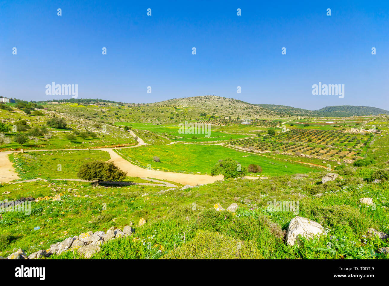 Holy land lower galilee israel hi-res stock photography and images - Alamy
