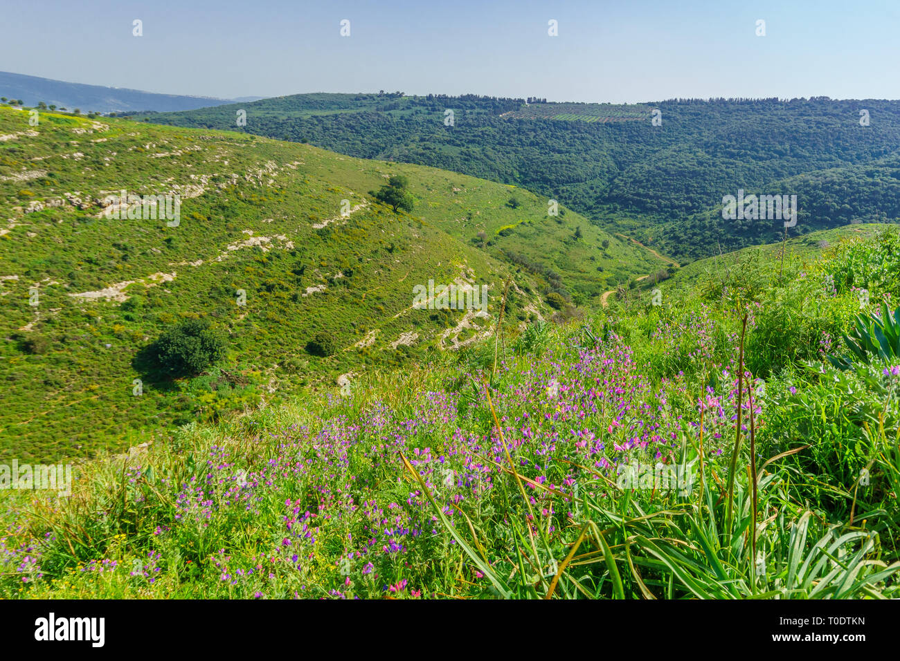 Lower Galilee landscape, viewed from Yodfat, Northern Israel Stock ...