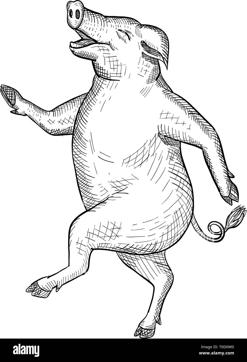 Pig Walking On Hind Legs Cartoon
