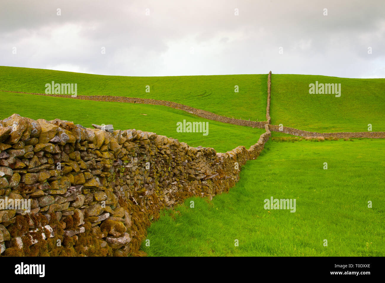 The typical landscape in Yorkshire Dales National Park, Great Britain ...