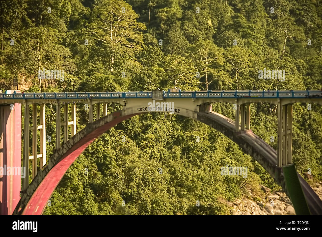 Dooars tea gardens hi-res stock photography and images - Alamy