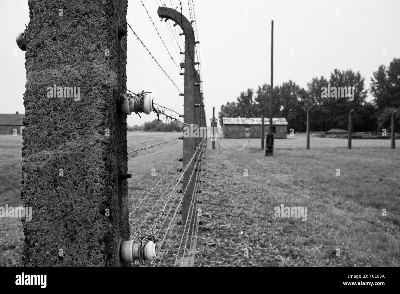 Internment camp fences hi-res stock photography and images - Alamy