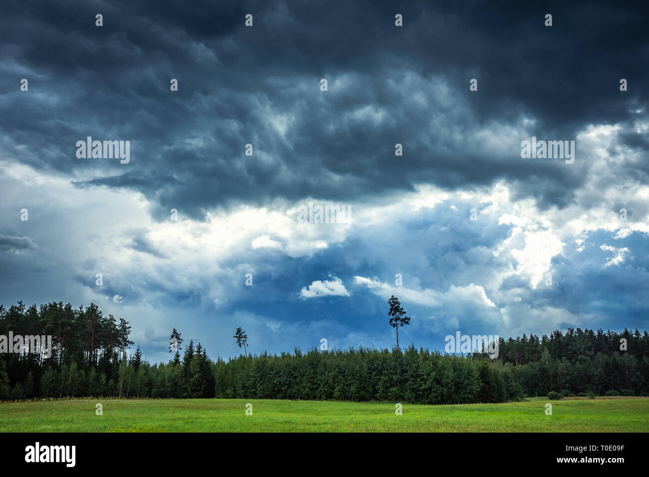 Image of dark Storm clouds over the forest Stock Photo - Alamy