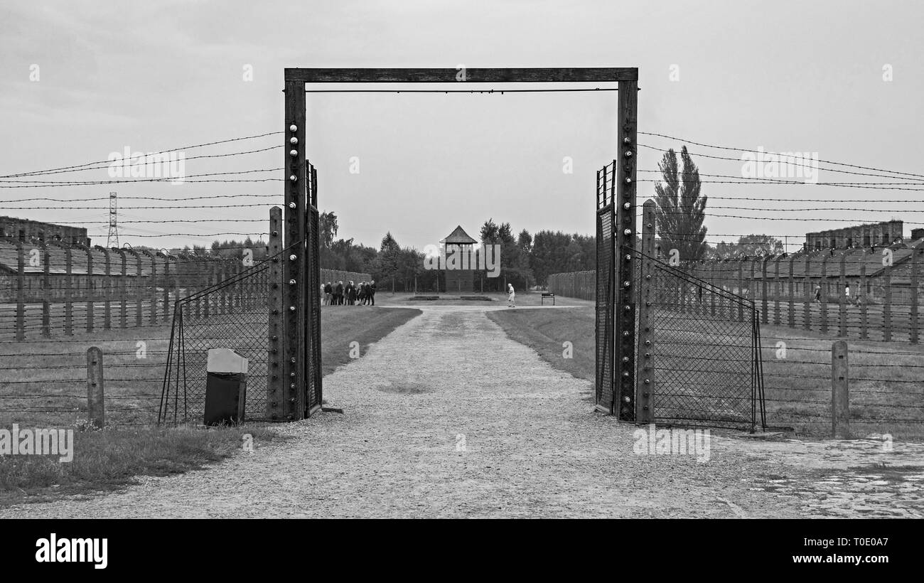 A gate in a barbed wire fence in the Birkenau Auschwitz II ...