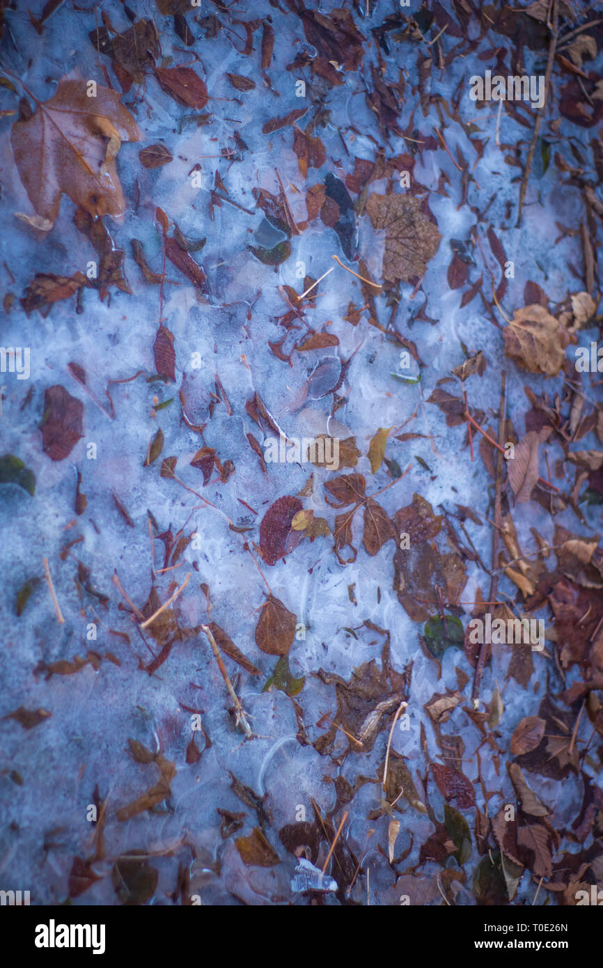Abstract ice scene Stock Photo - Alamy