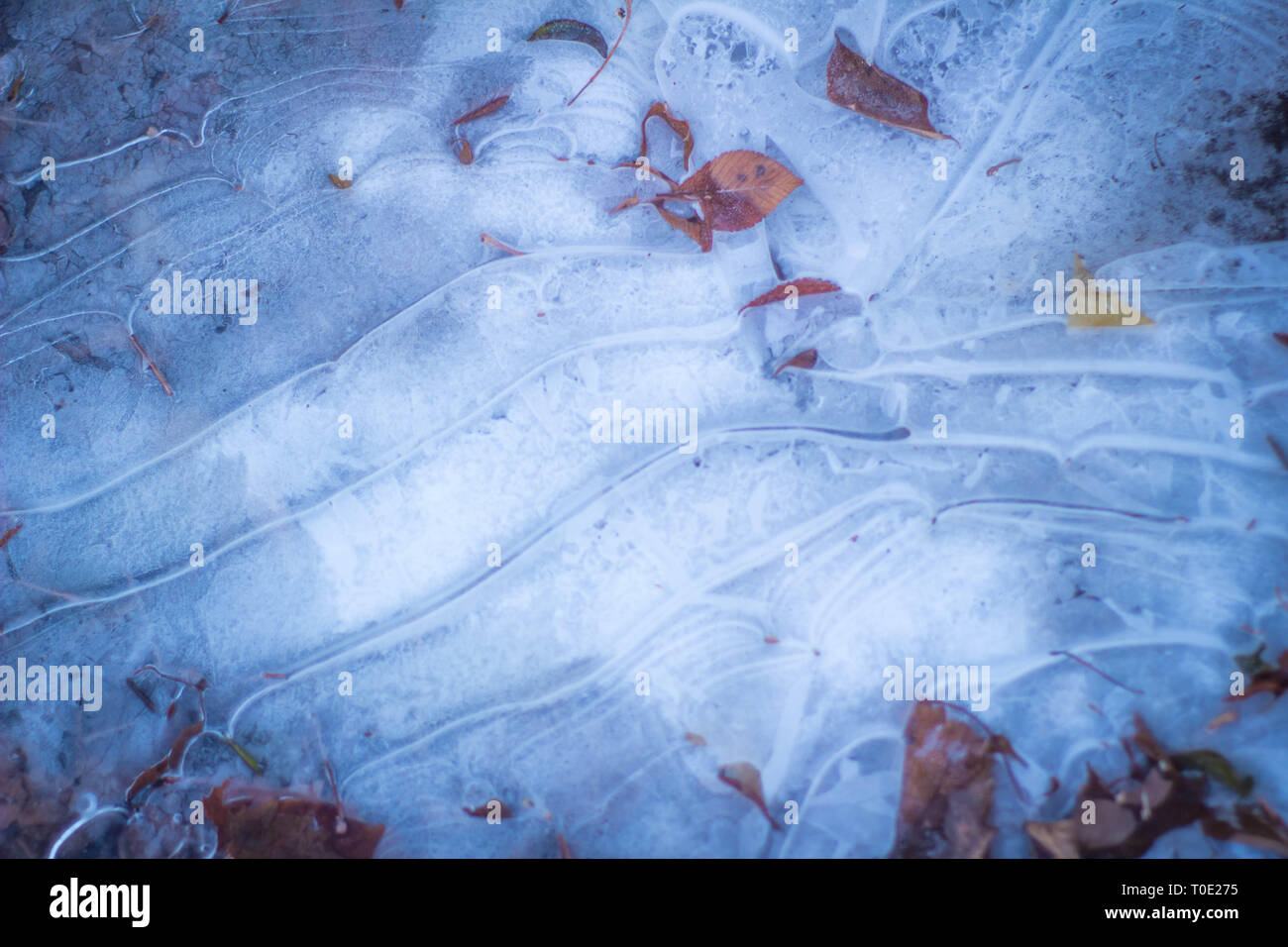 Abstract ice scene Stock Photo - Alamy