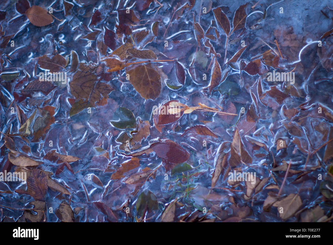 Abstract ice scene Stock Photo - Alamy