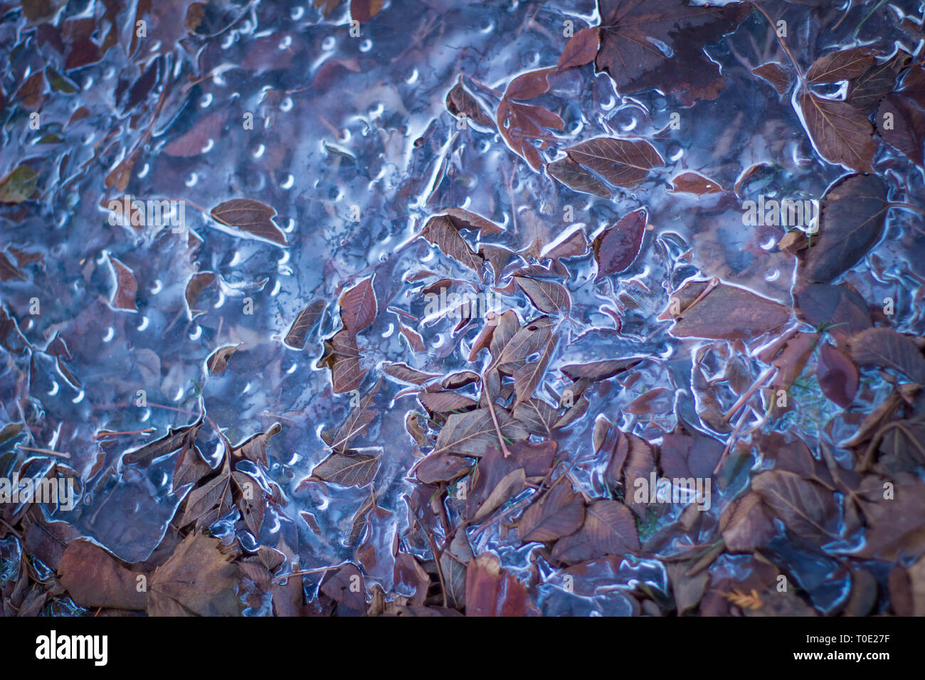 Abstract ice scene Stock Photo - Alamy