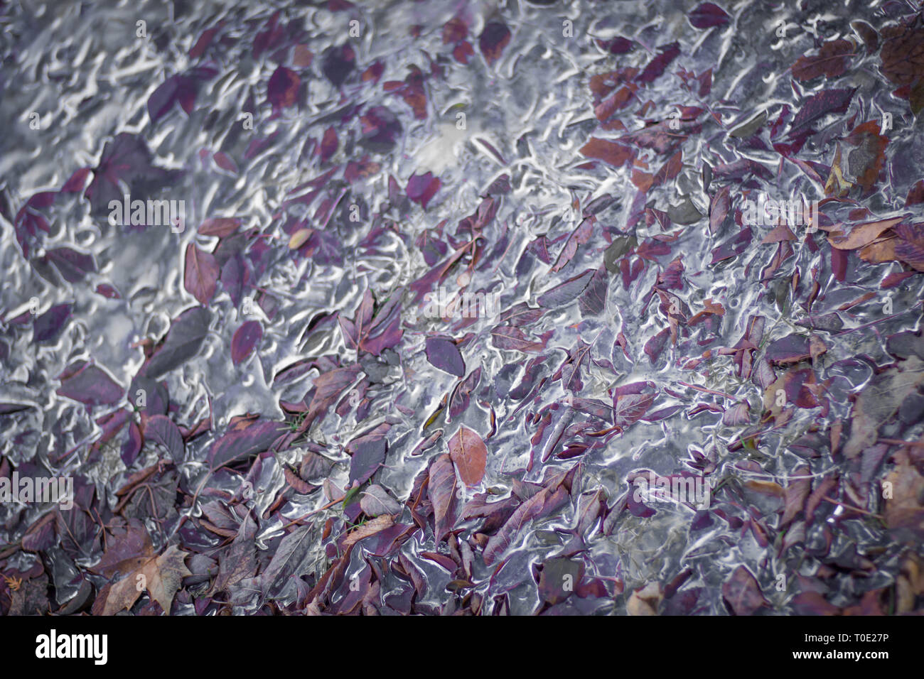 Abstract ice scene Stock Photo - Alamy