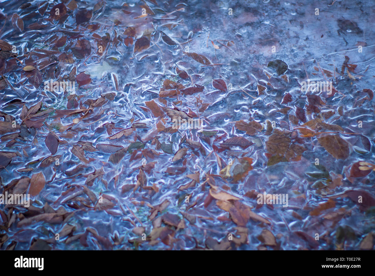 Abstract ice scene Stock Photo - Alamy