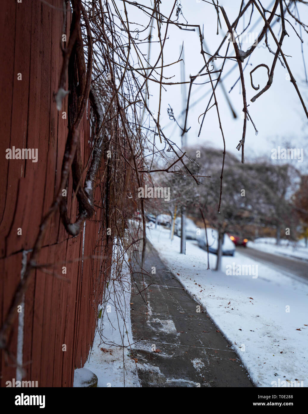 Snowy street scene Stock Photo - Alamy