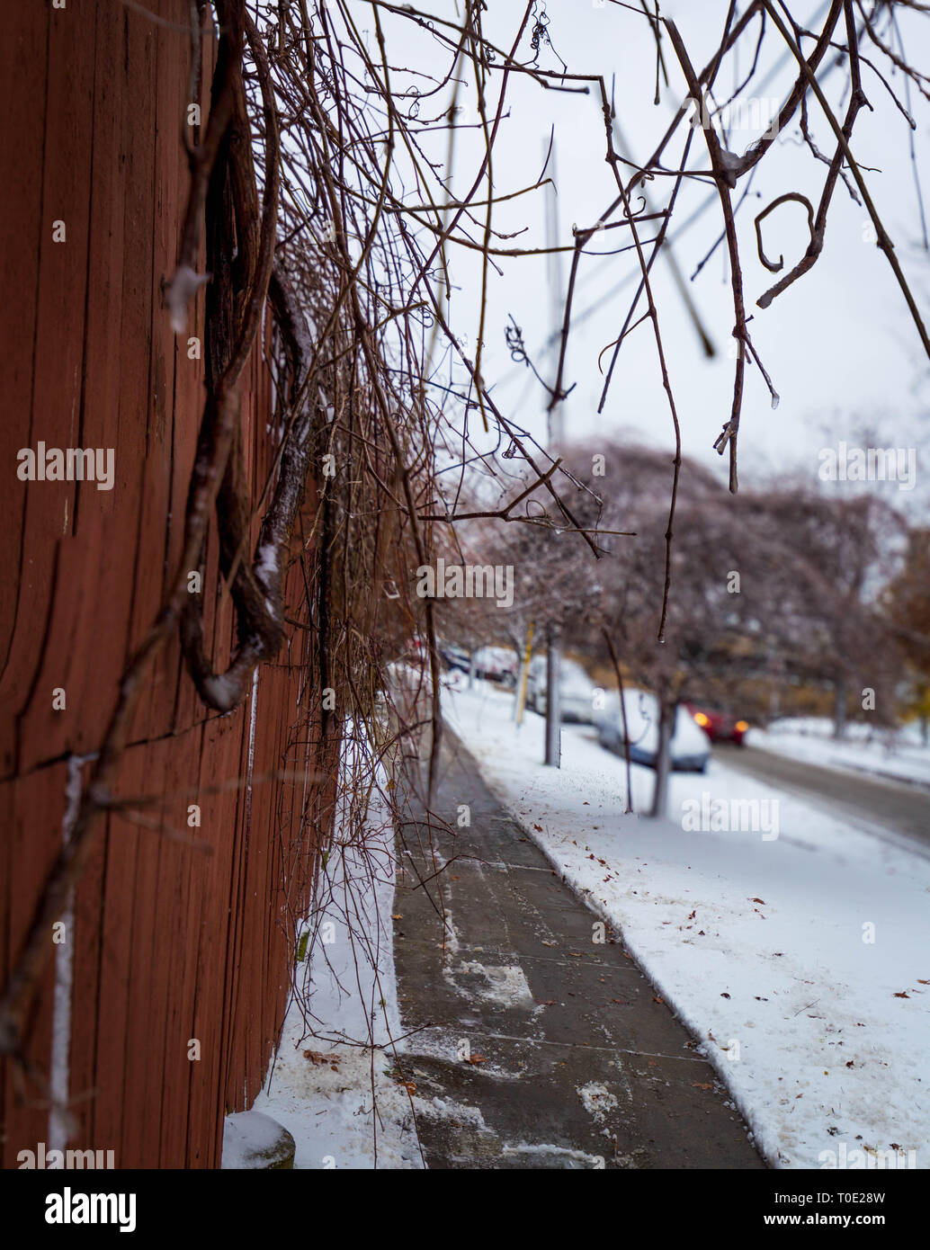 Chicago winter scene hi-res stock photography and images - Alamy