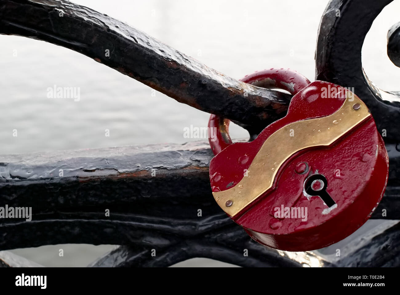 Wedding lock on a metal fencing on bridge Stock Photo - Alamy
