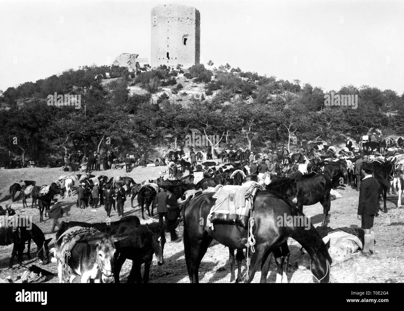 Sicily 1930 hi-res stock photography and images - Alamy