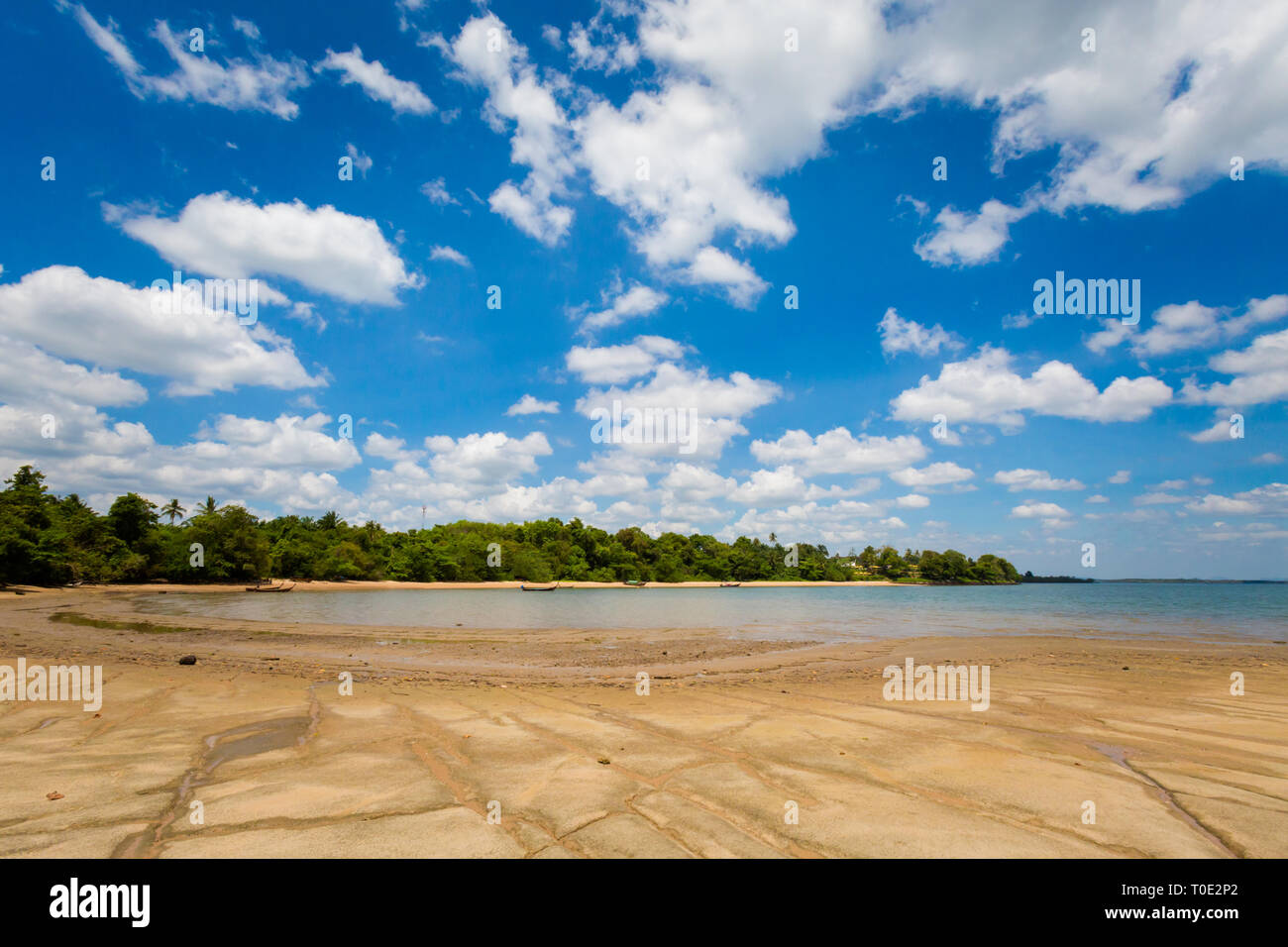 Susan hoi shell fossil cemetery hi-res stock photography and images - Alamy