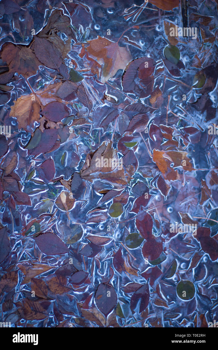 Abstract ice scene Stock Photo - Alamy