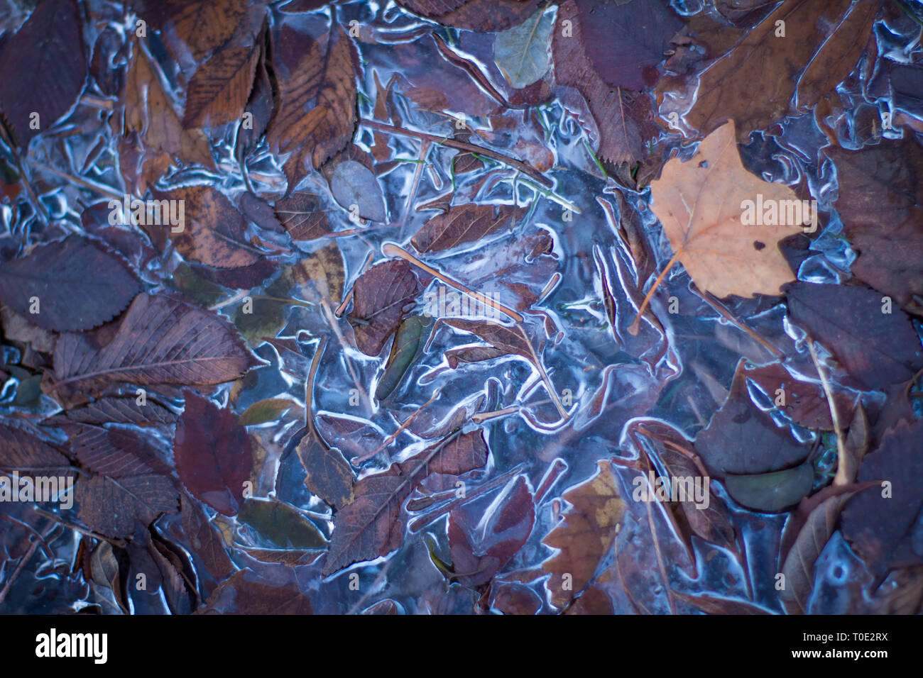 Abstract ice scene Stock Photo - Alamy