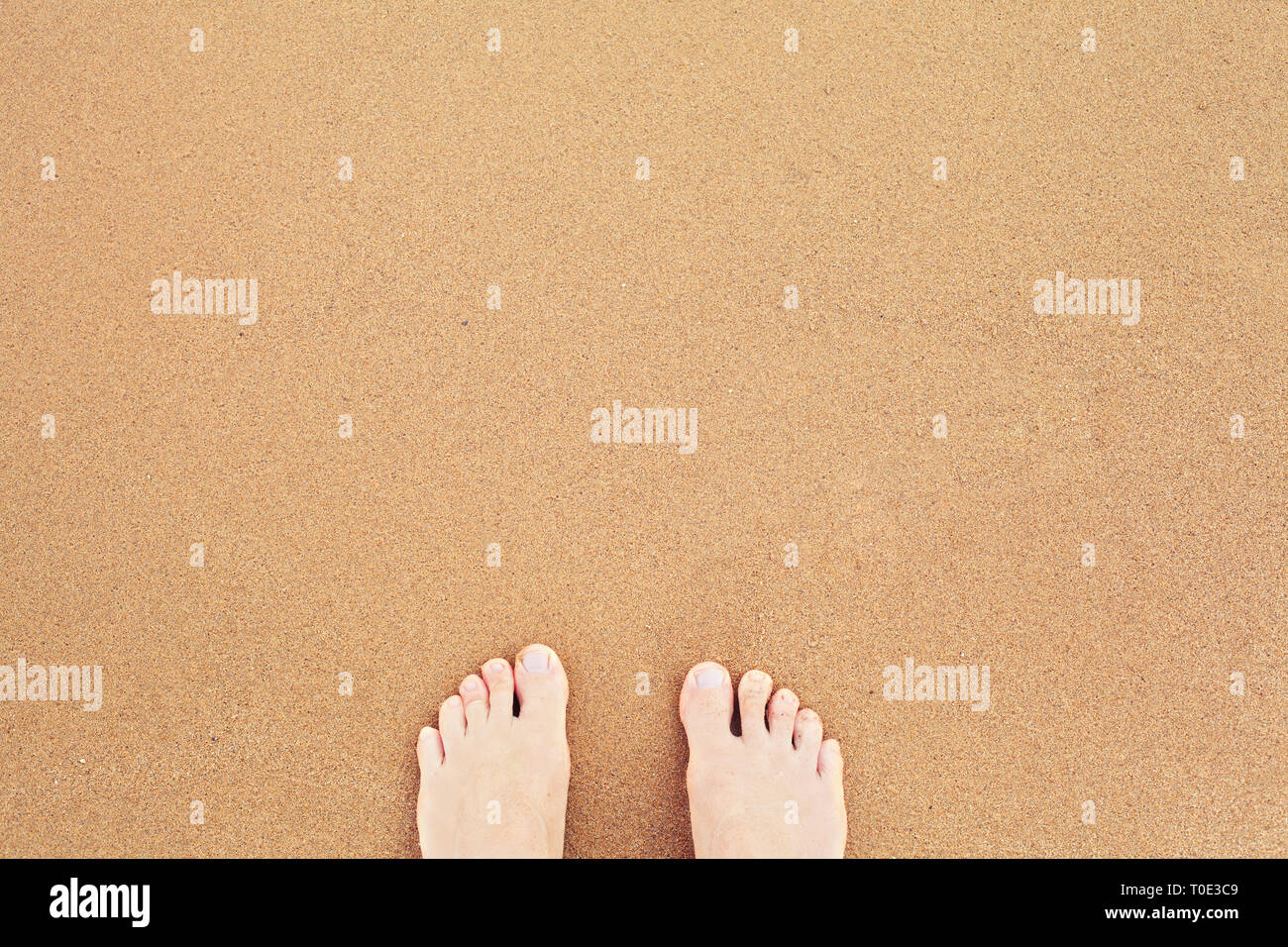 Top view of feet on sea sand. Vacation on ocean beach and summer ...