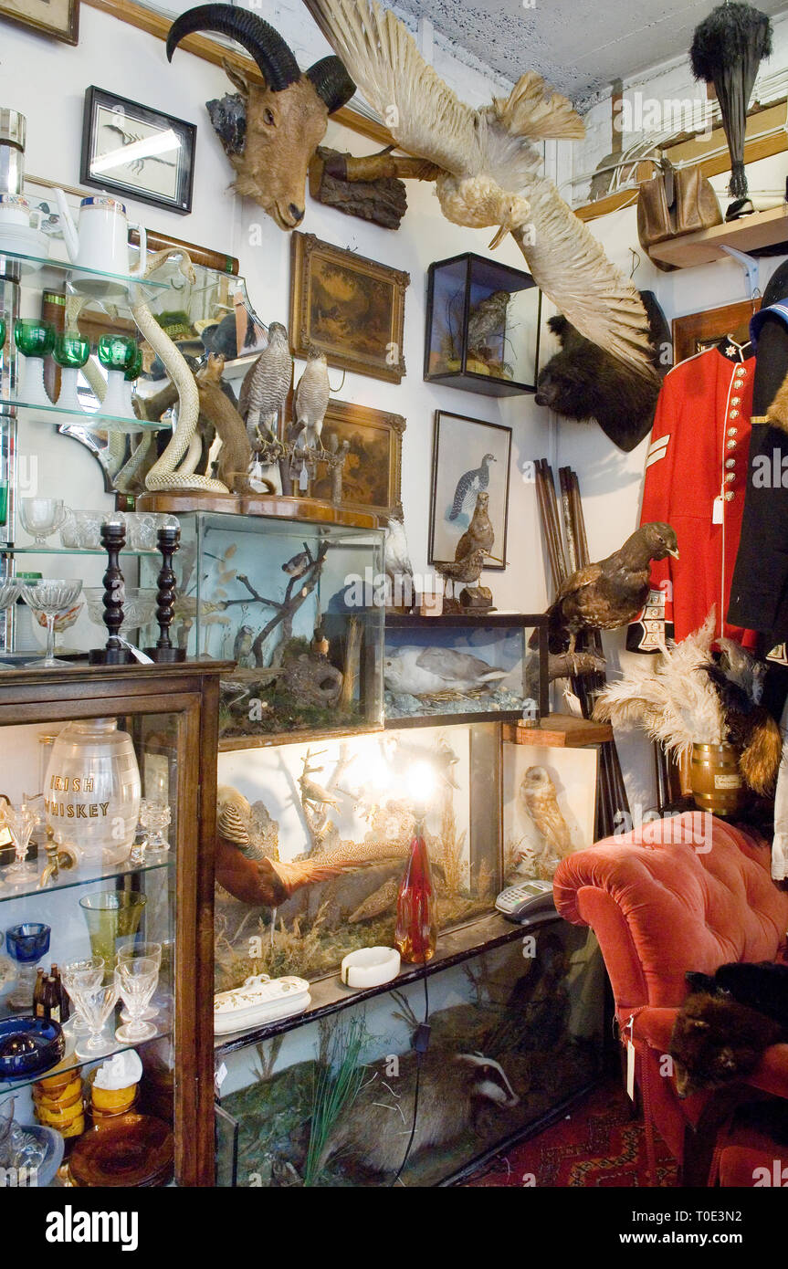 Antique shop interior london hi-res stock photography and images - Alamy