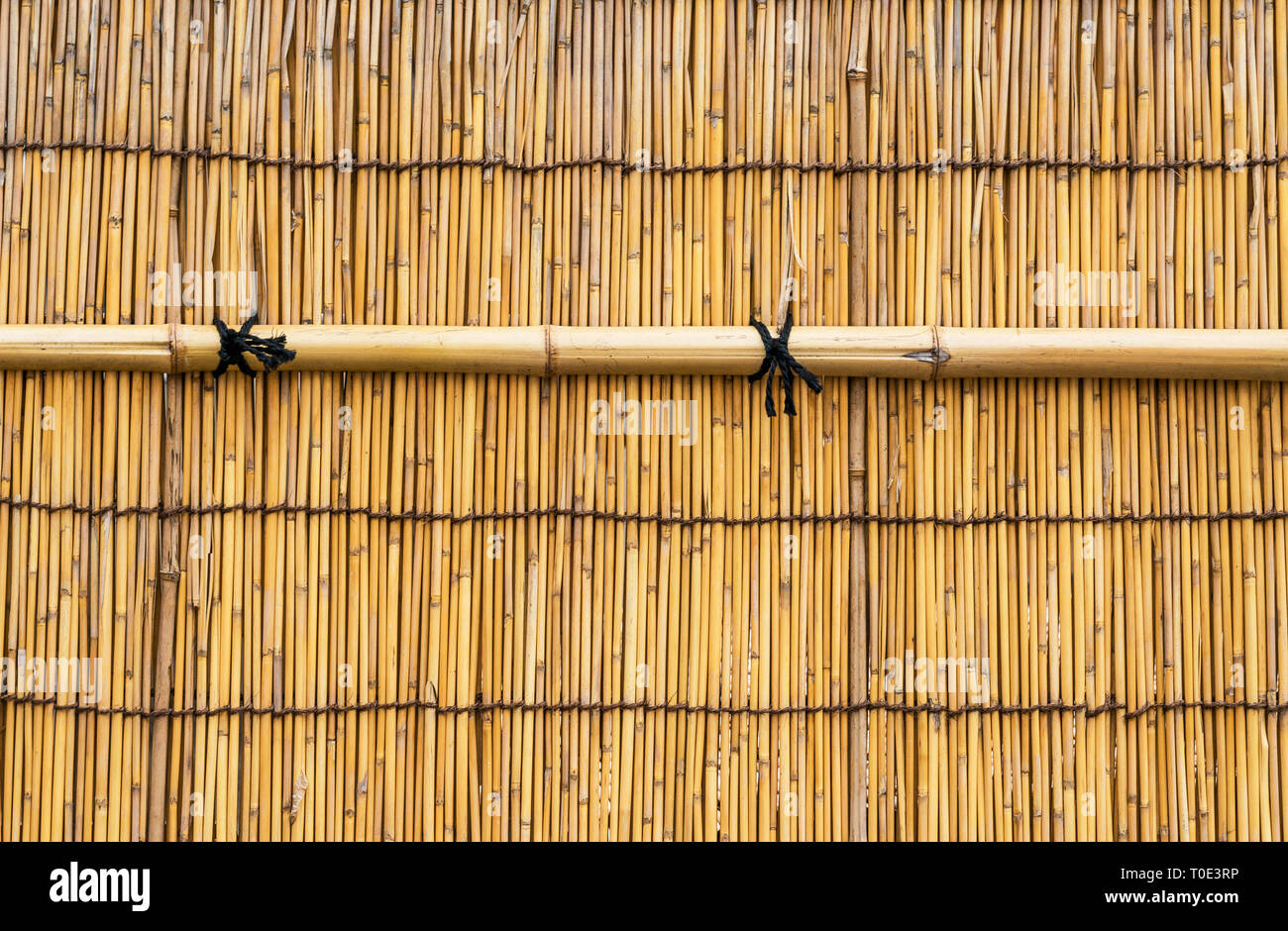 Stockade fence hi-res stock photography and images - Alamy