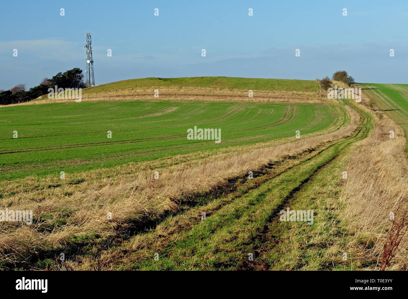 Fox hill track hi-res stock photography and images - Alamy