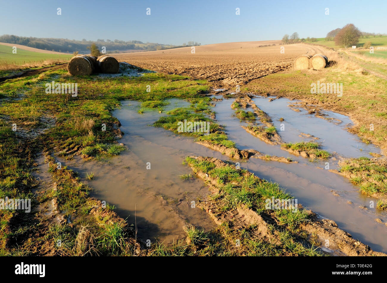 Rutted fields hi-res stock photography and images - Alamy