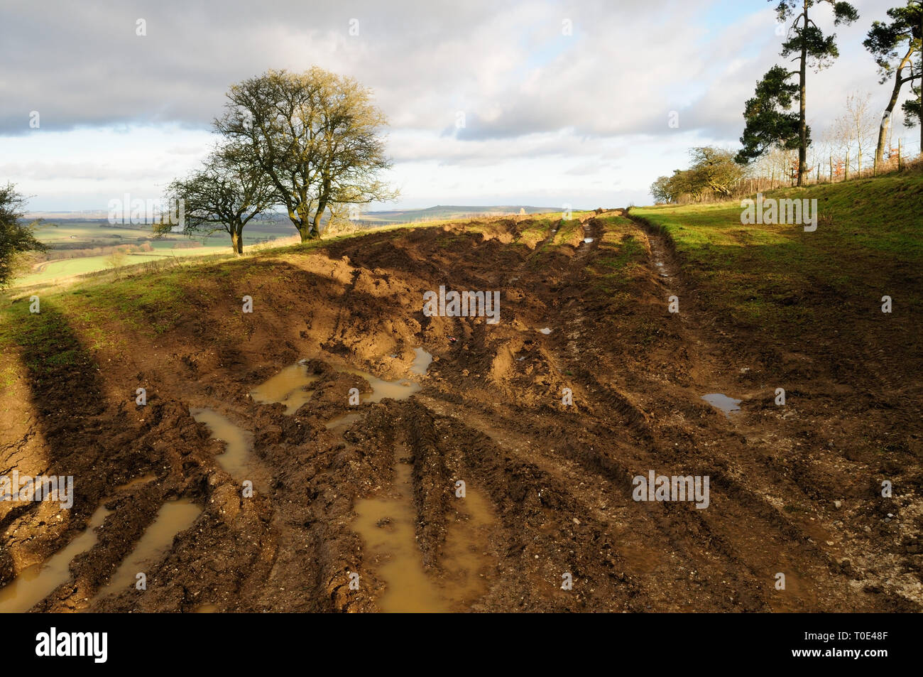Rutted road hi-res stock photography and images - Alamy