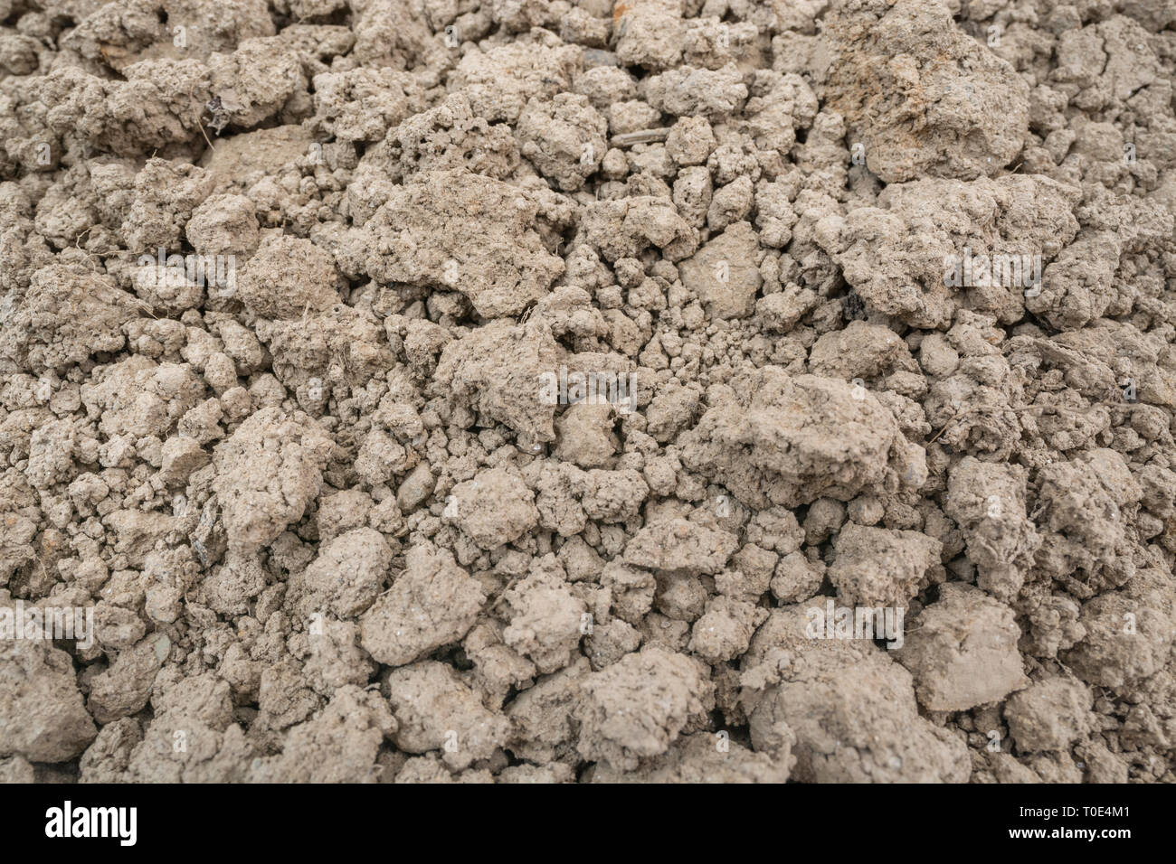 Soil structure hi-res stock photography and images - Alamy