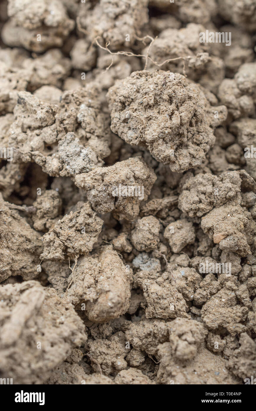 Wide-angle macro of bone-dry soil showing particulate & finest soil ...