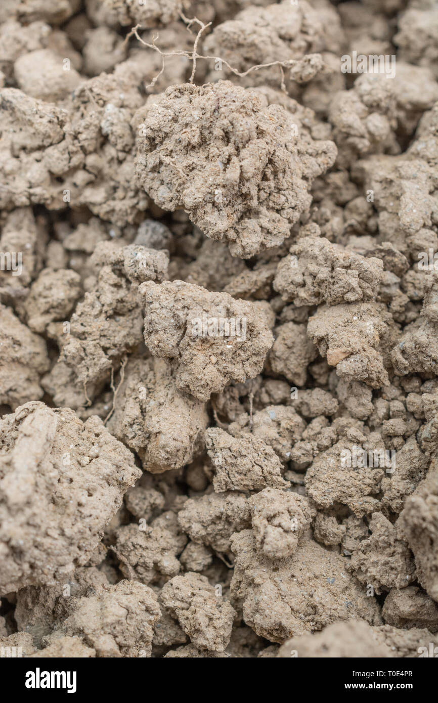 Wide-angle macro of bone-dry soil showing particulate & finest soil ...