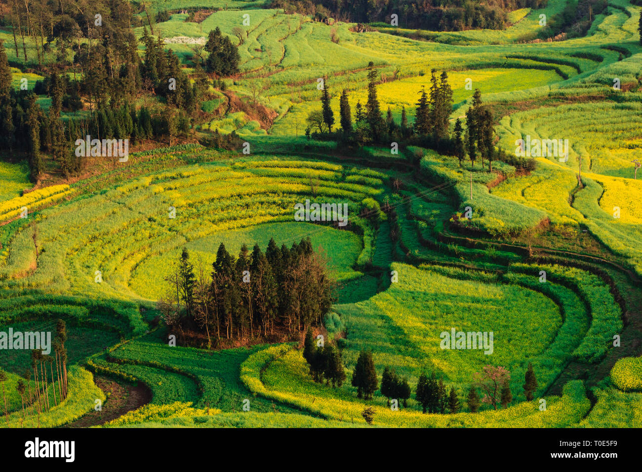 Chinese countryside hi-res stock photography and images - Alamy
