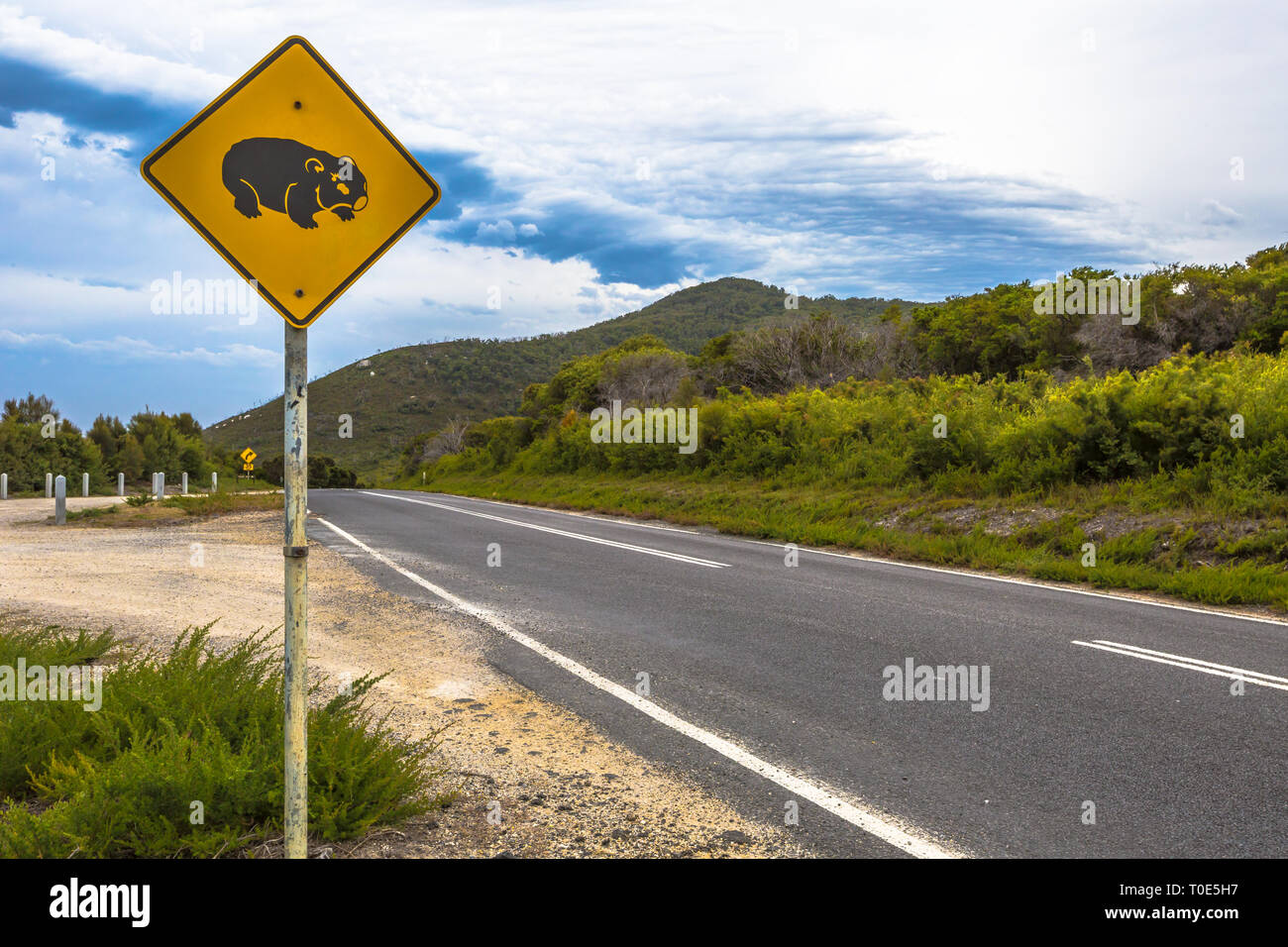 Wombat warning sign hi-res stock photography and images - Alamy