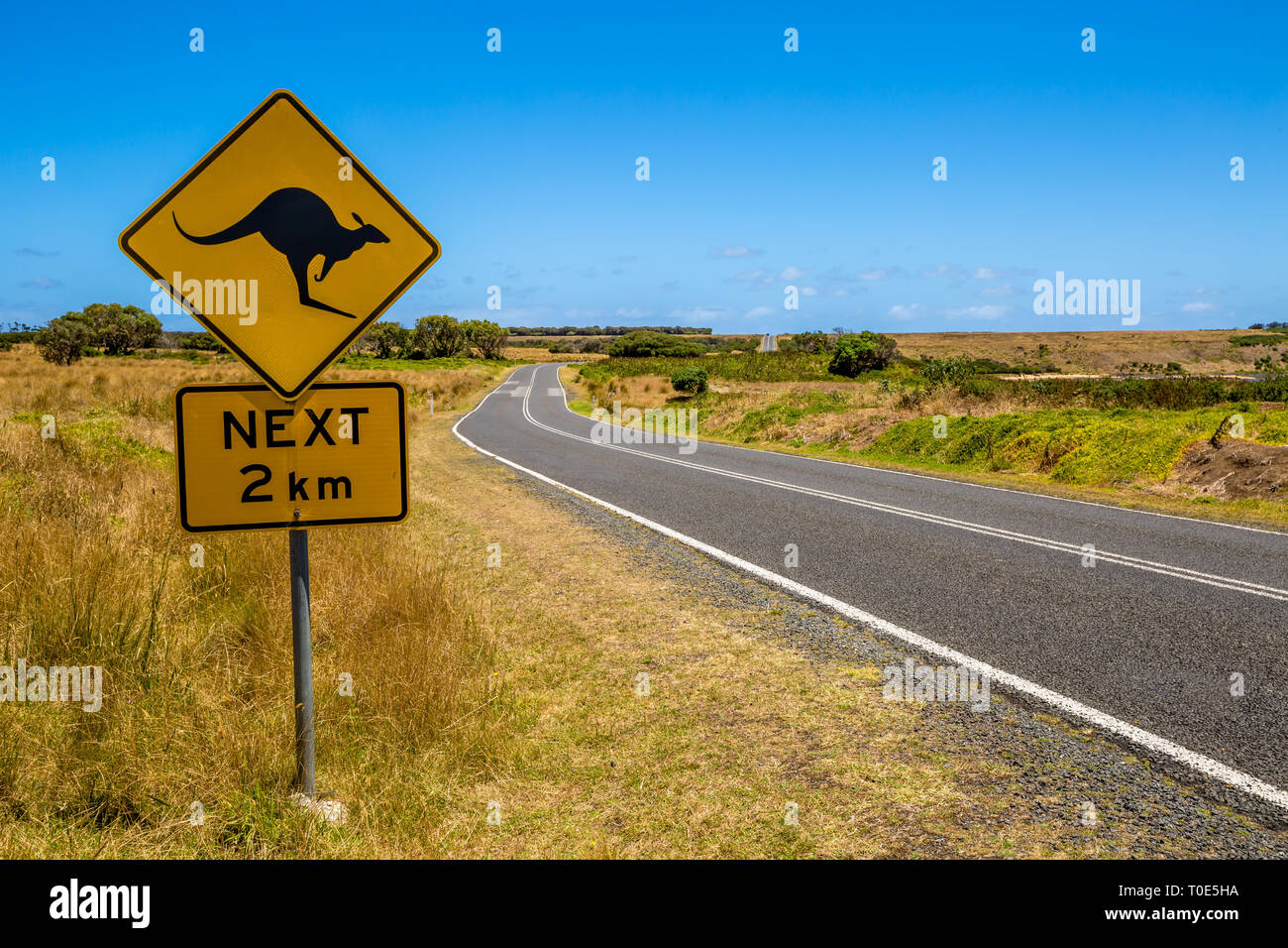 Warning sign for kangaroo crossing on Austalian country road Stock ...