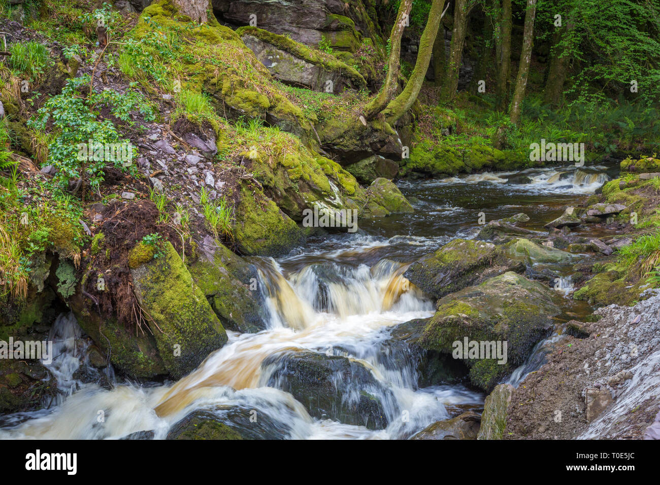 Kells bay gardens ring of kerry hi-res stock photography and images - Alamy