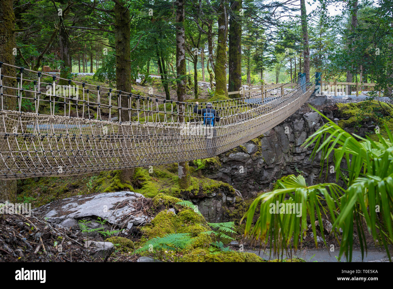 Kells bay gardens hi-res stock photography and images - Alamy