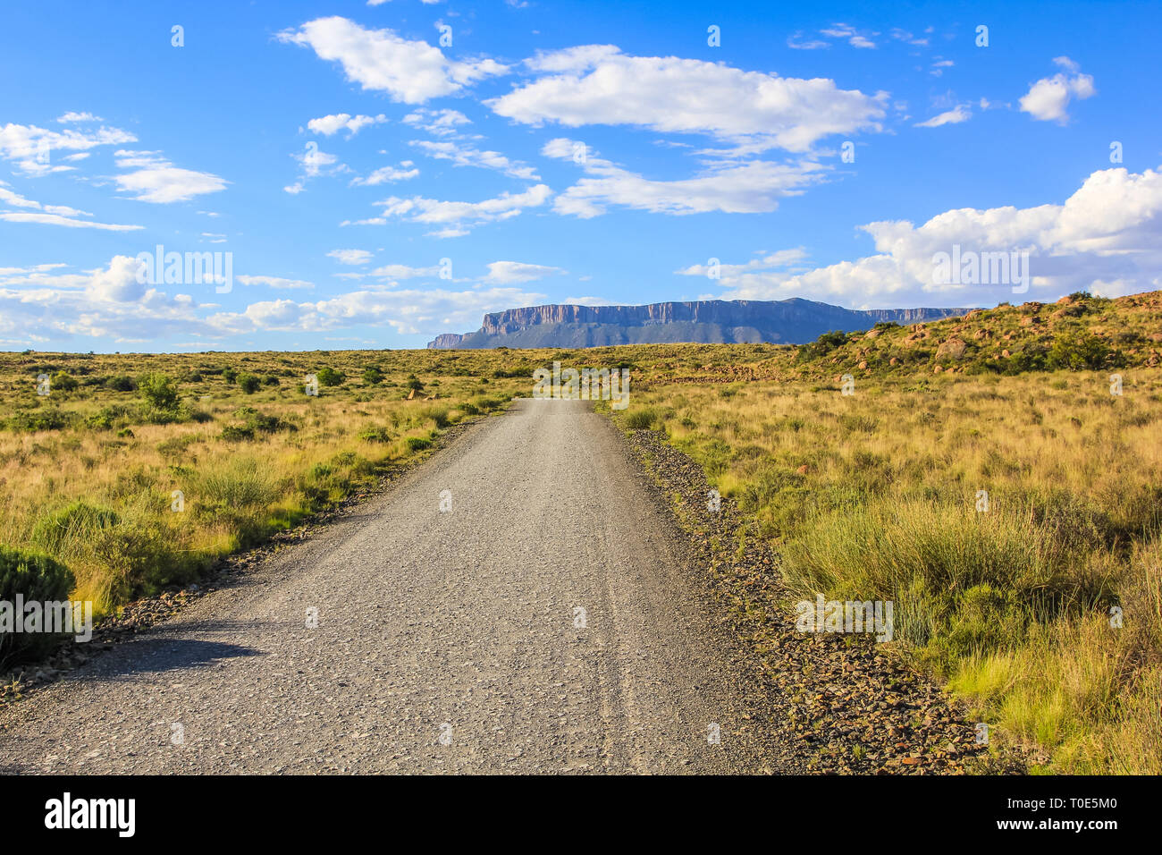 African dirt road, Karoo National Park in the summer, Western Cape ...