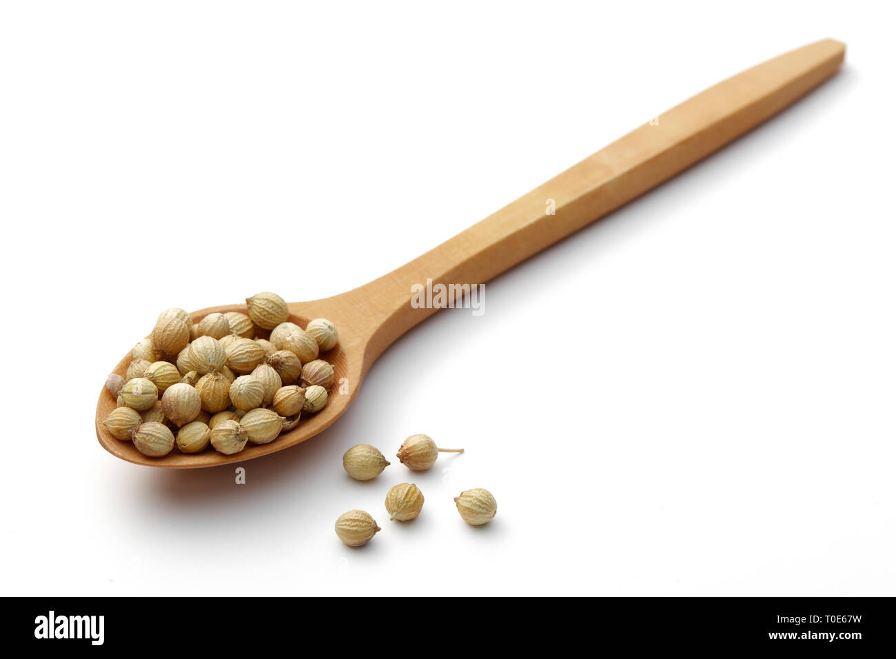Dry coriander seeds in wooden spoon isolated on white background Stock Photo - Alamy