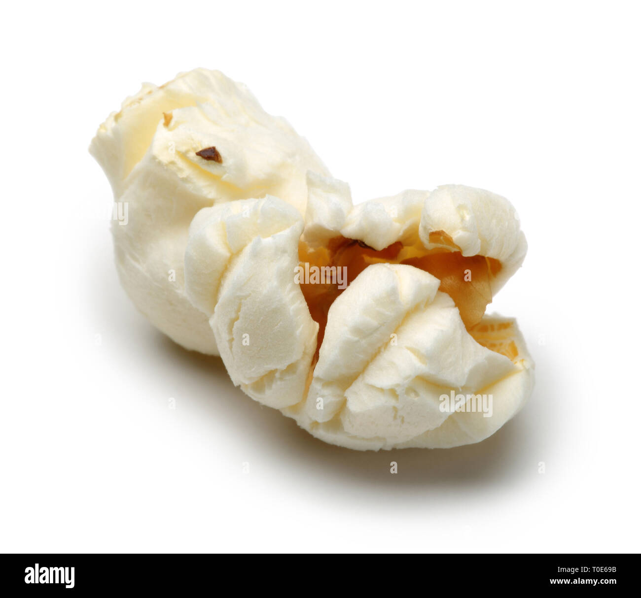 Single popcorn isolated on white background Stock Photo - Alamy