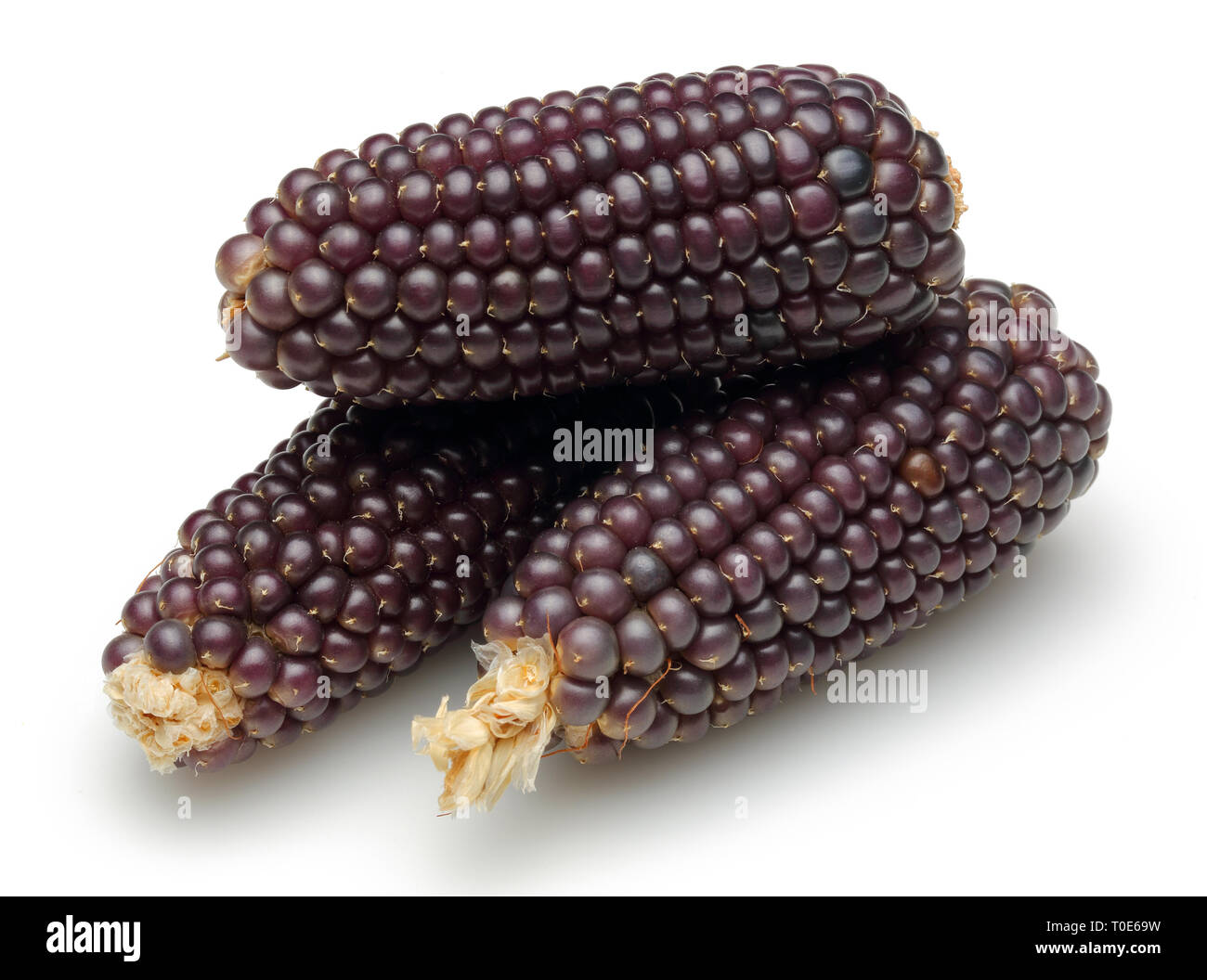 Dried purple corn isolated on white background Stock Photo - Alamy