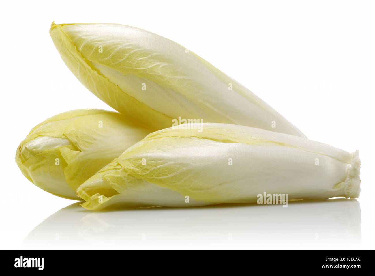 Fresh endive isolated on white background Stock Photo - Alamy