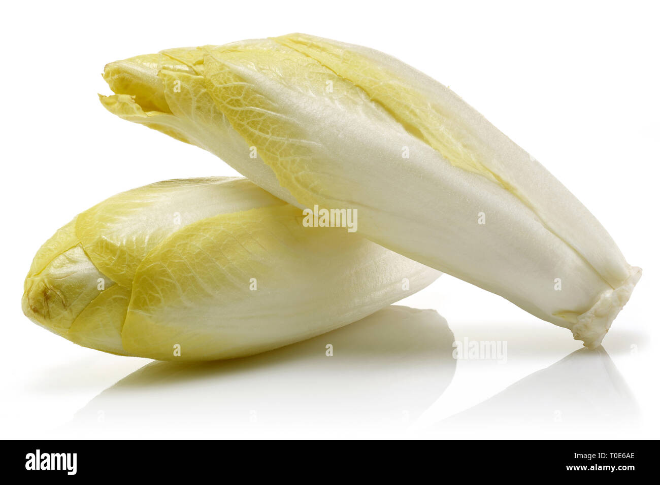 Fresh endive isolated on white background Stock Photo - Alamy