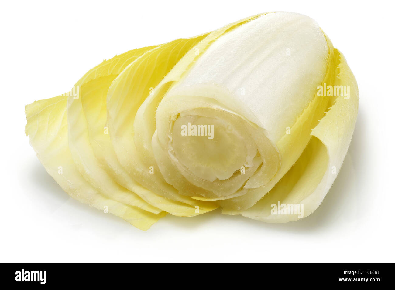 Fresh endive isolated on white background Stock Photo - Alamy