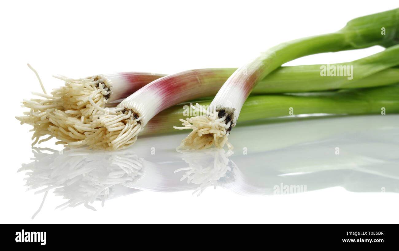 Fresh green garlic isolated on white background Stock Photo - Alamy