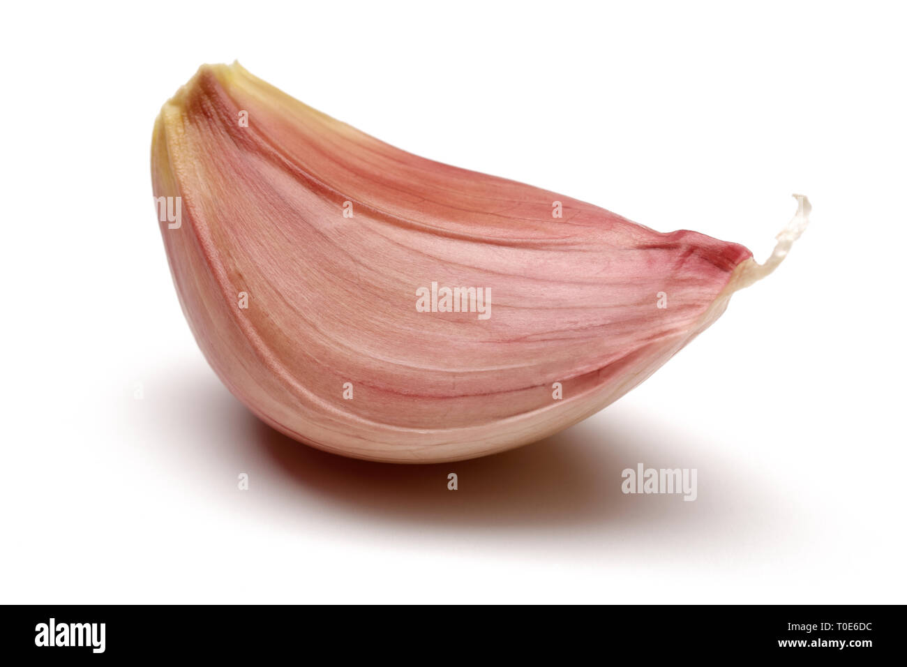 Single garlic clove isolated on white background Stock Photo - Alamy
