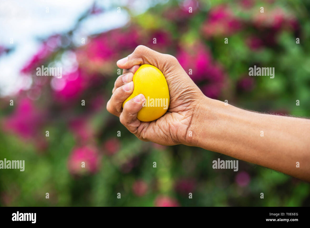Hand squeezing ball hi-res stock photography and images - Alamy