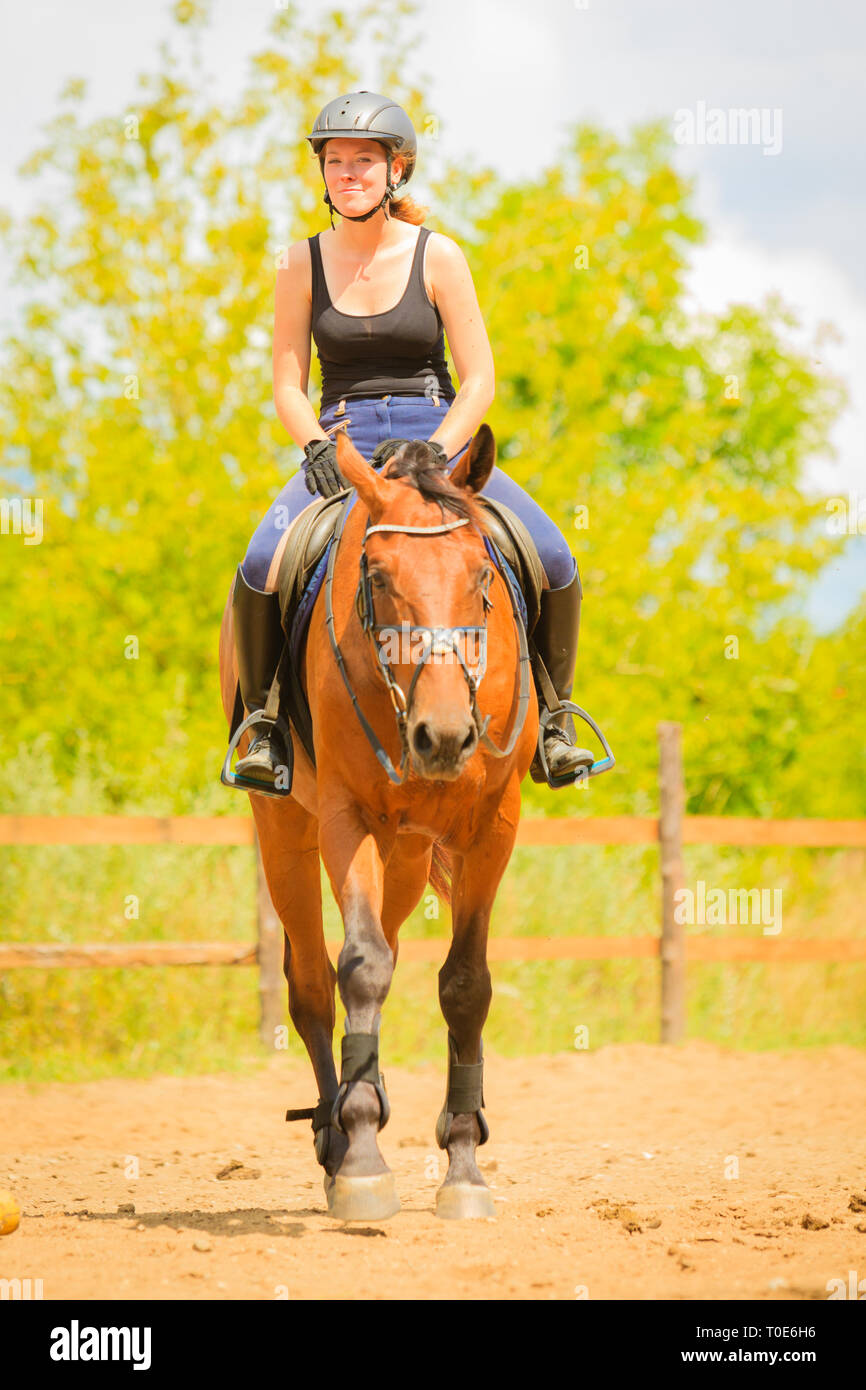 Taking care of animals, horsemanship, western competitions concept ...