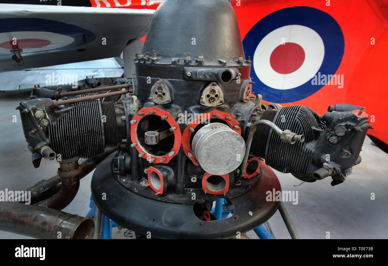 Old damaged aircraft radial engine showing air cooled cylinder, piston ...