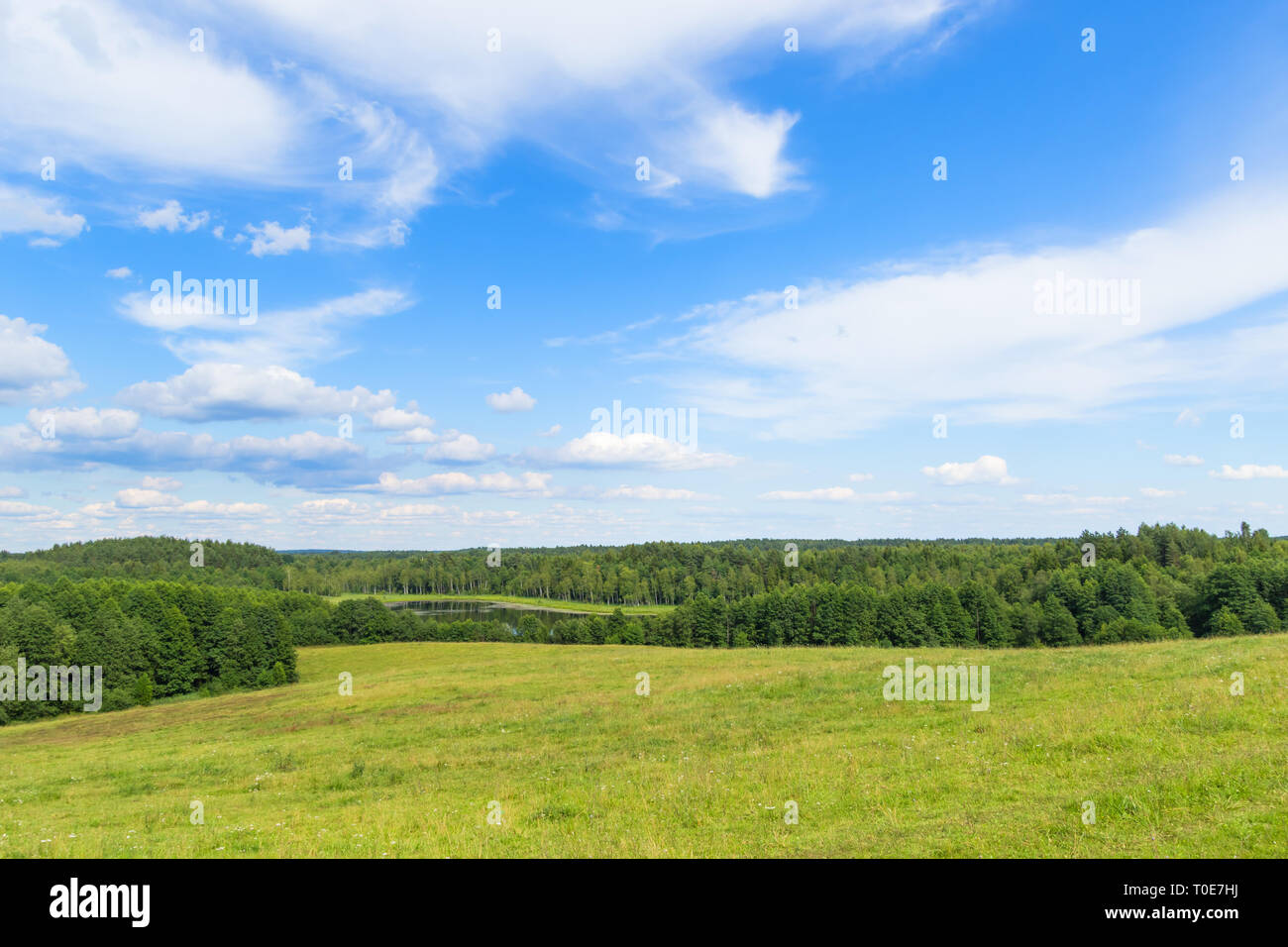 Landscape of European plains with hills and lowlands, marshes, meadows ...