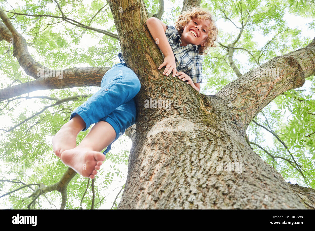 Boy climbing tree barefoot hi-res stock photography and images - Alamy